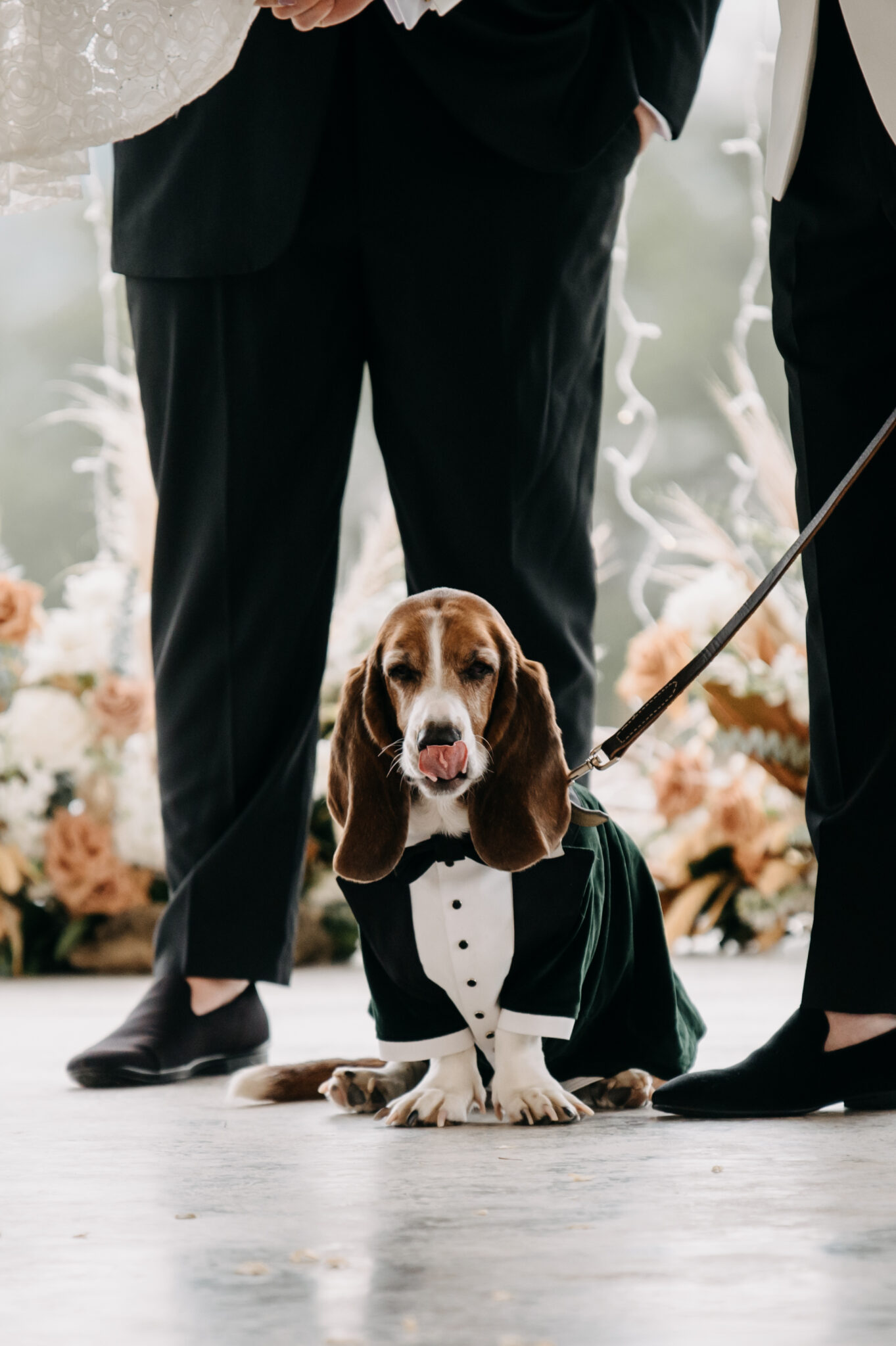 How to Include Pets in Your Wedding - biancanichole.com