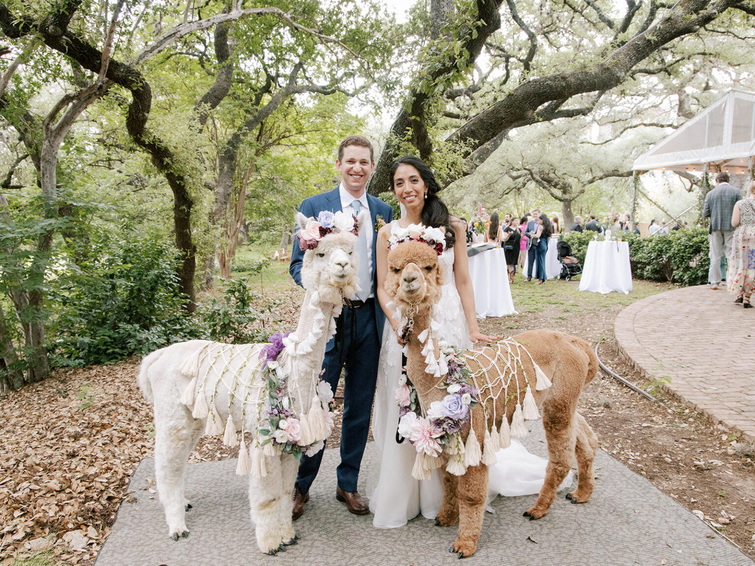 How to Include Pets in Your Wedding - biancanichole.com